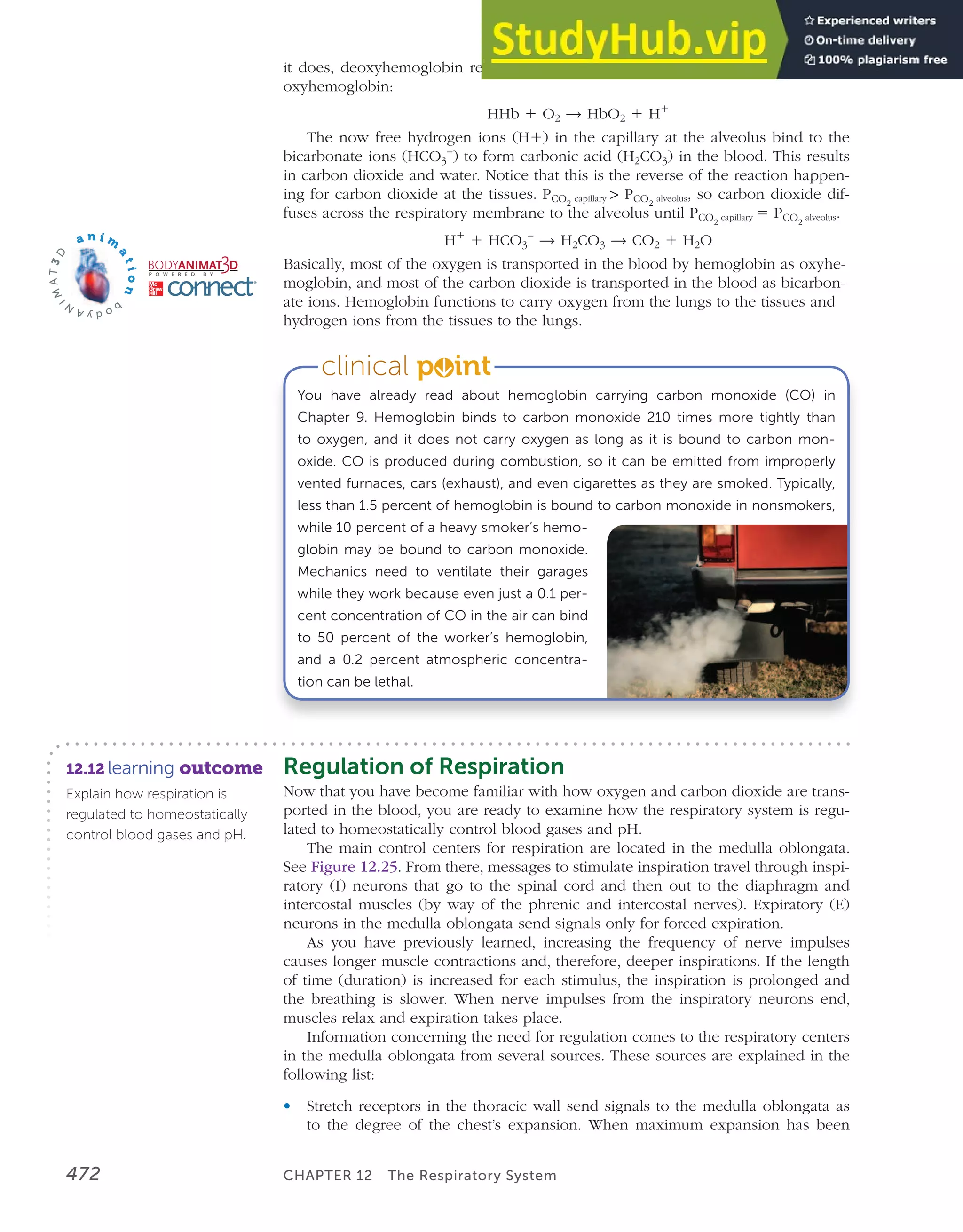 Anatomy Of The Respiratory System | PDF