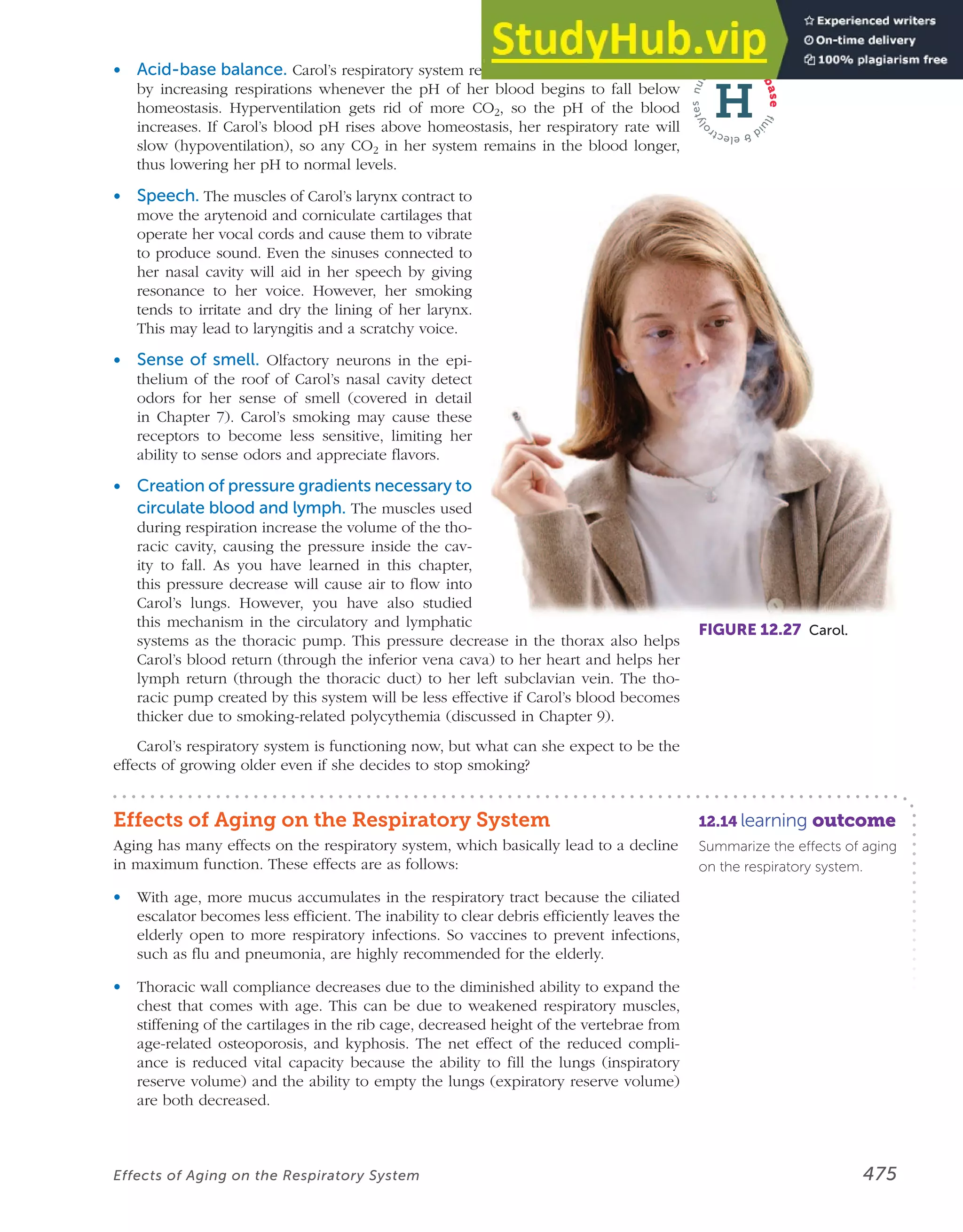 Anatomy Of The Respiratory System | PDF