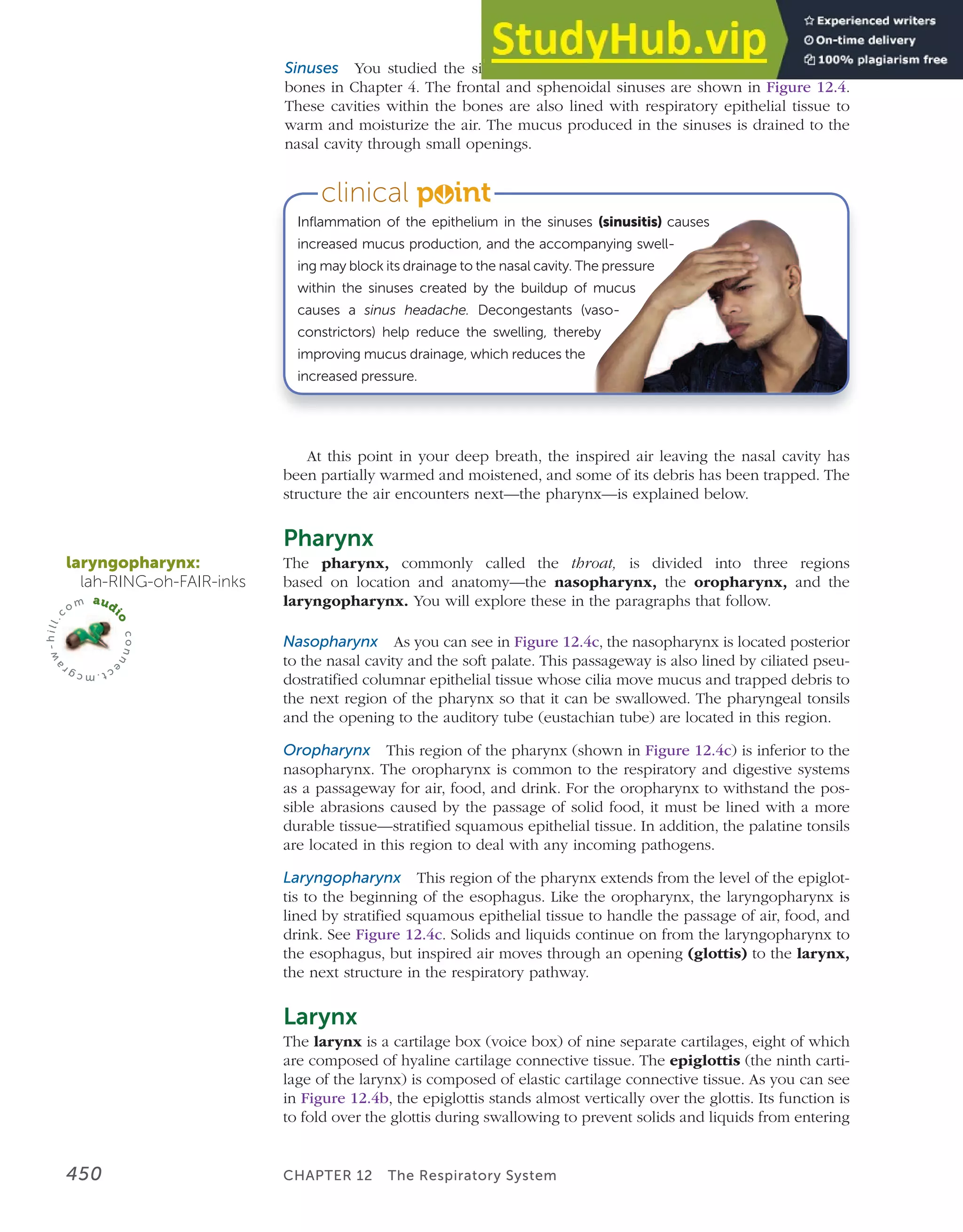Anatomy Of The Respiratory System | PDF