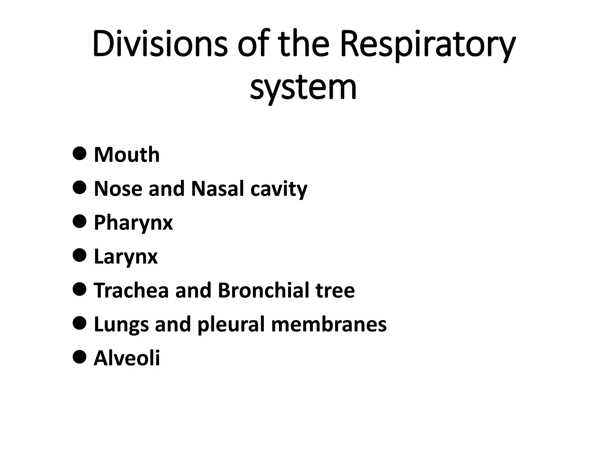 Anatomy of the Respiratory system.pptx