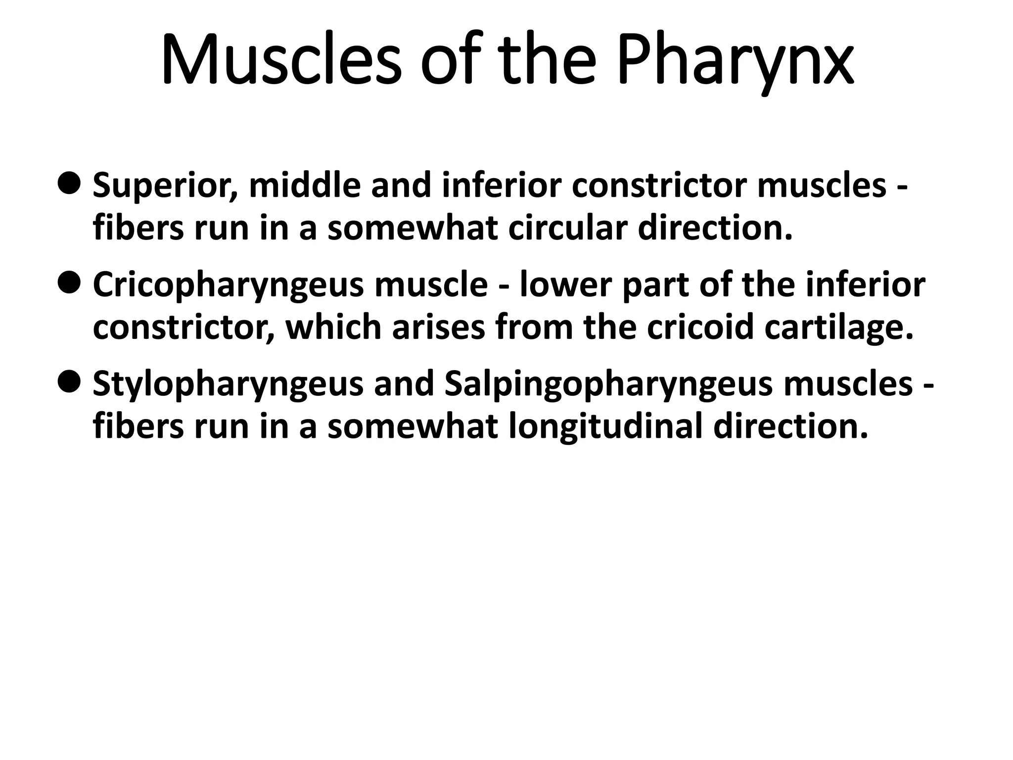 Anatomy of the Respiratory system.pptx