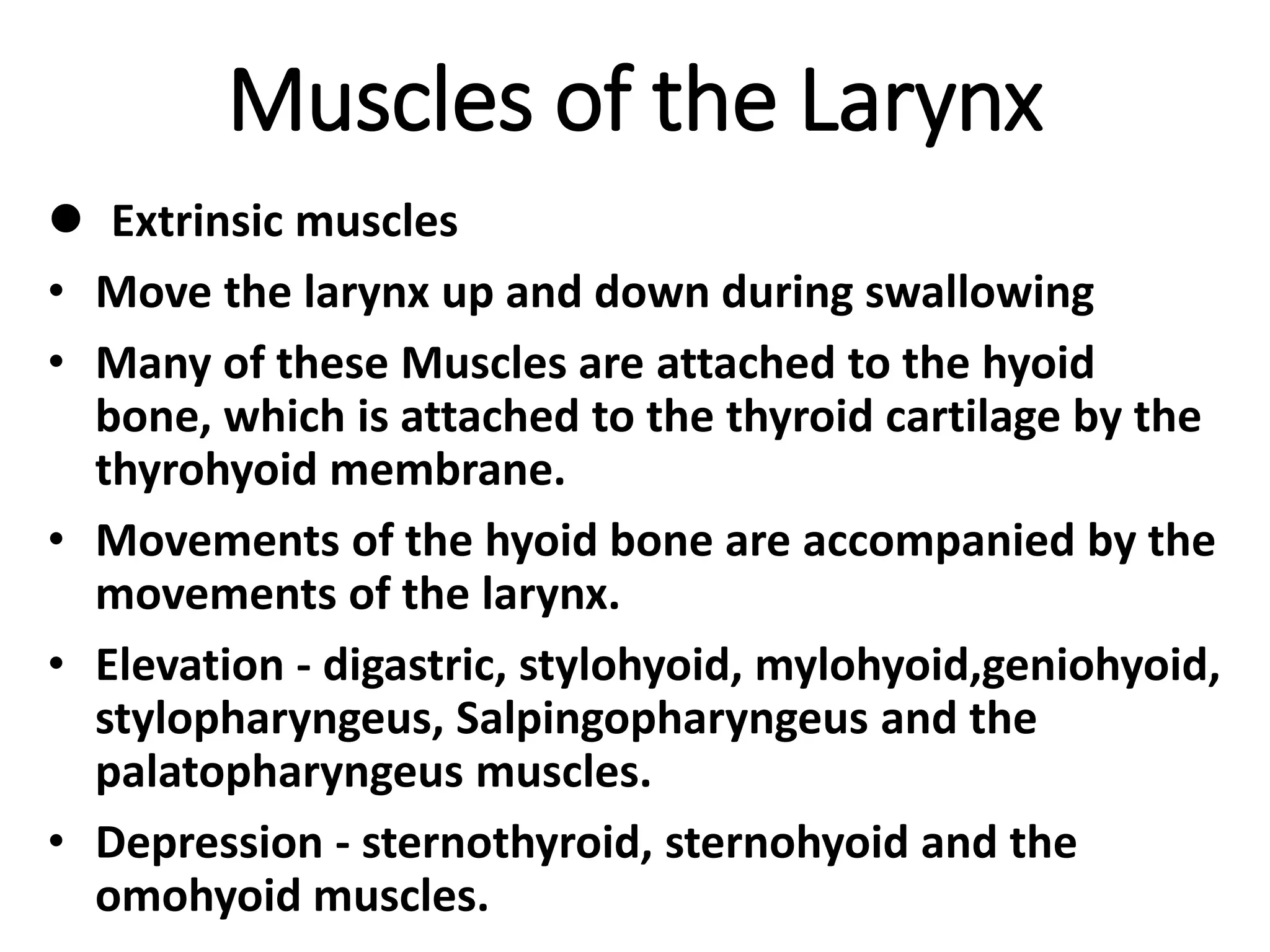Anatomy of the Respiratory system.pptx