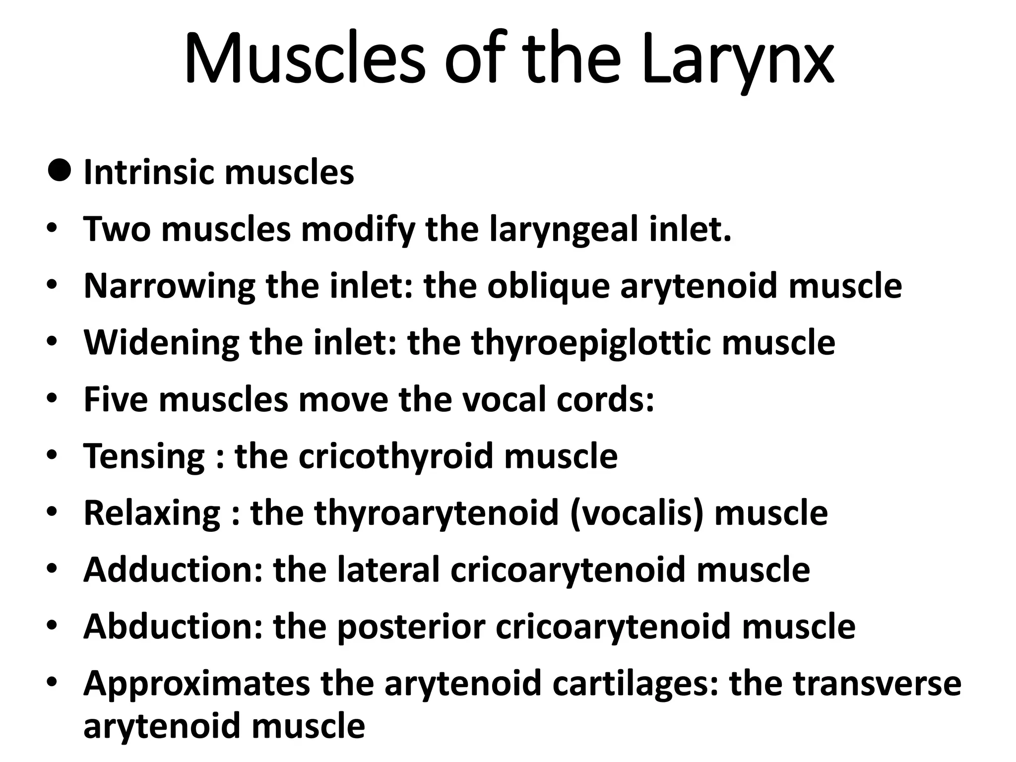 Anatomy of the Respiratory system.pptx