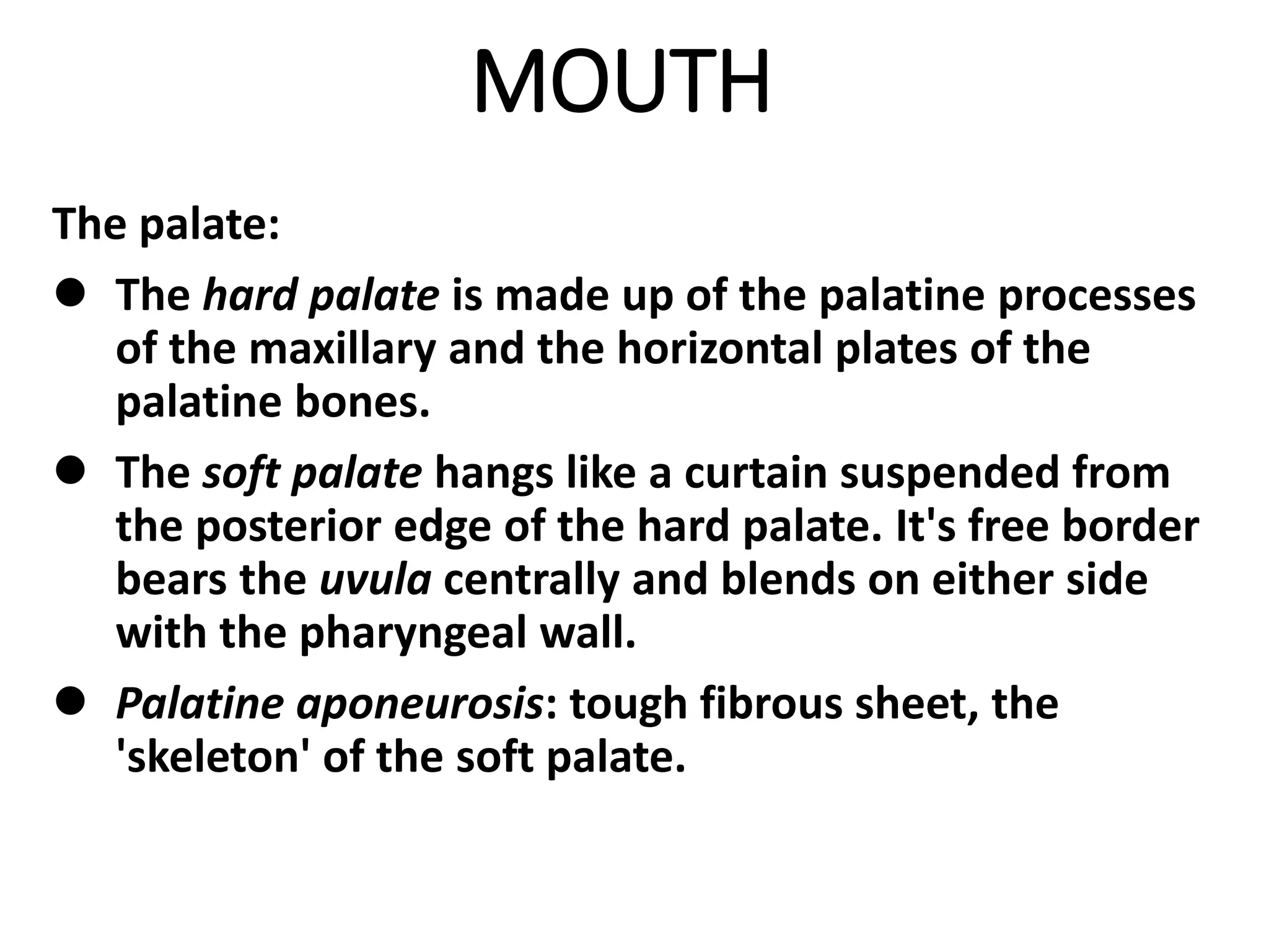 Anatomy of the Respiratory system.pptx