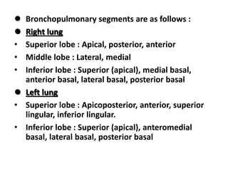 Anatomy of the Respiratory system.pptx