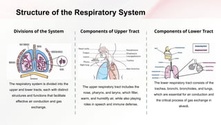Anatomy of the Respiratory System (1).pptx
