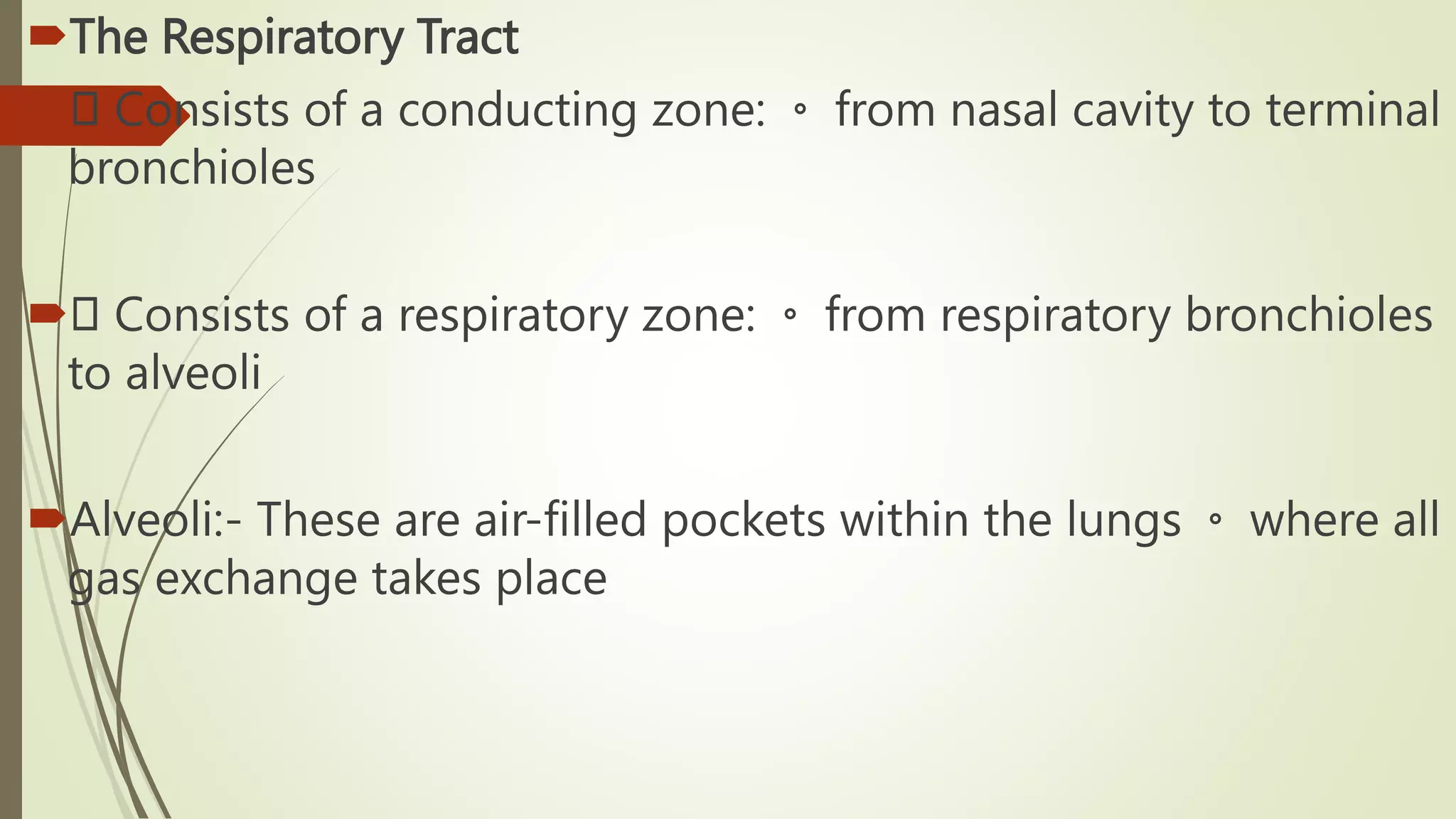 ANATOMY OF THE RESPIRATORY SYSTEM for students.pptx
