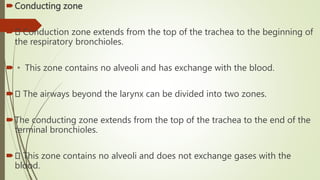 ANATOMY OF THE RESPIRATORY SYSTEM for students.pptx