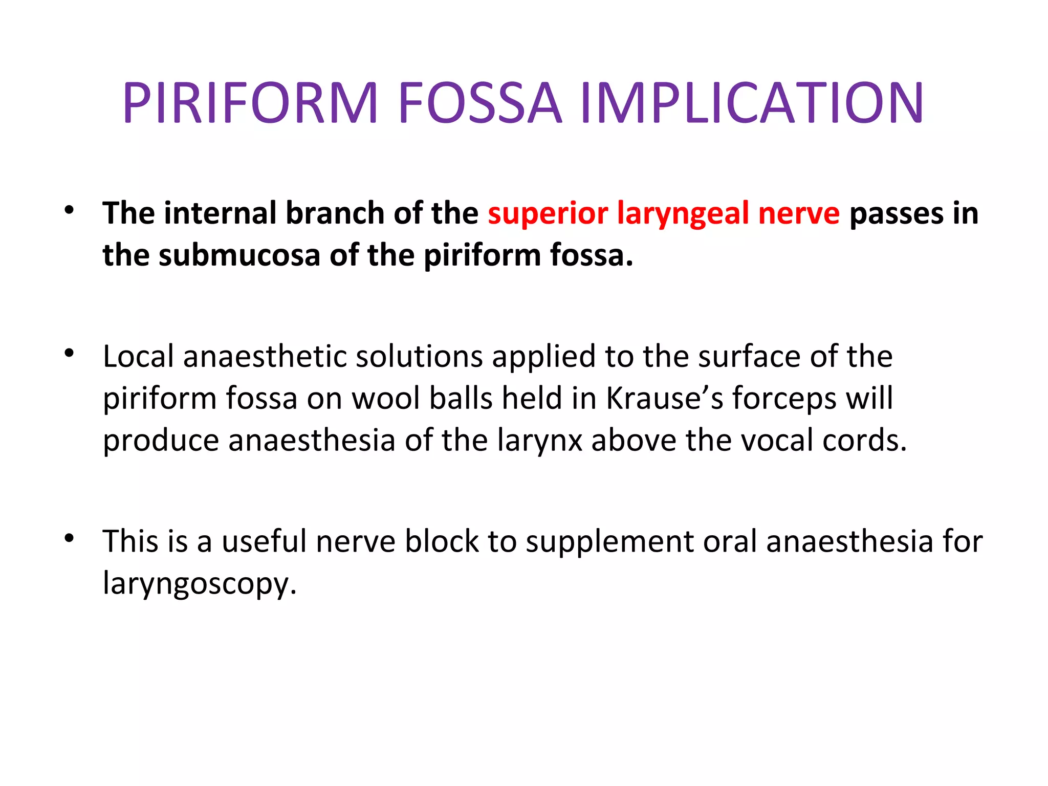 Anatomy of the respiratory tract | PPT