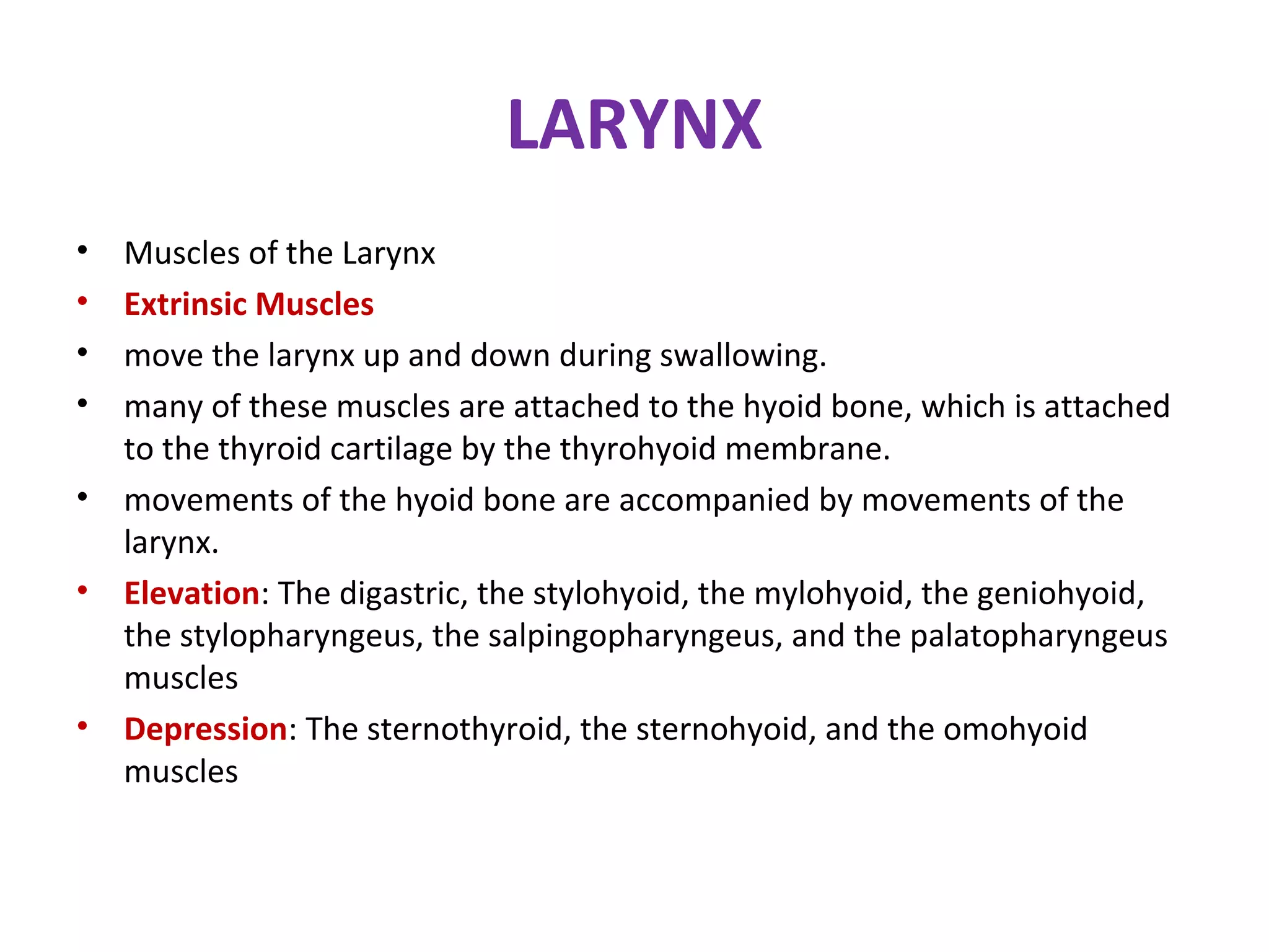 Anatomy of the respiratory tract | PPT
