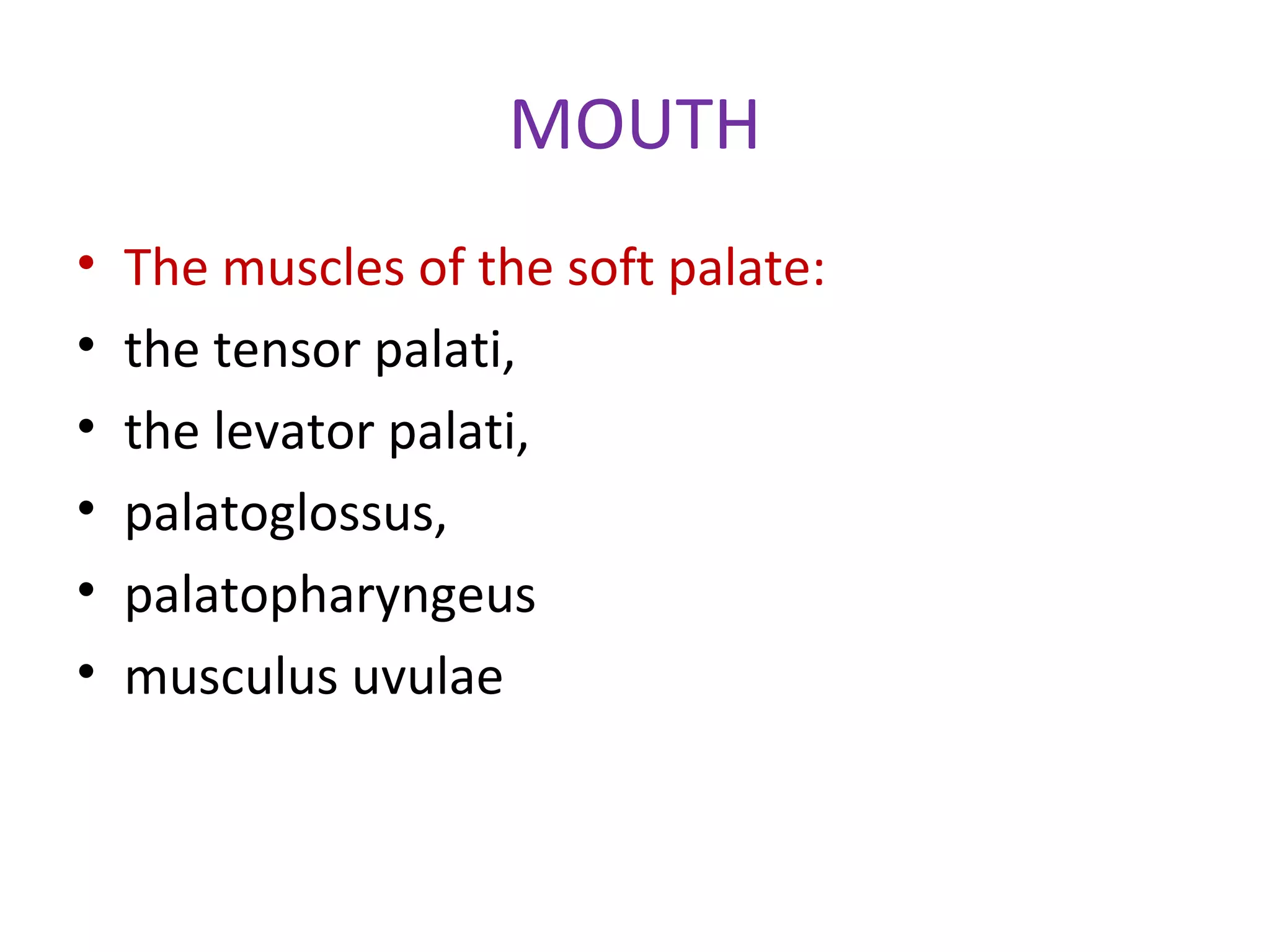 Anatomy of the respiratory tract | PPT