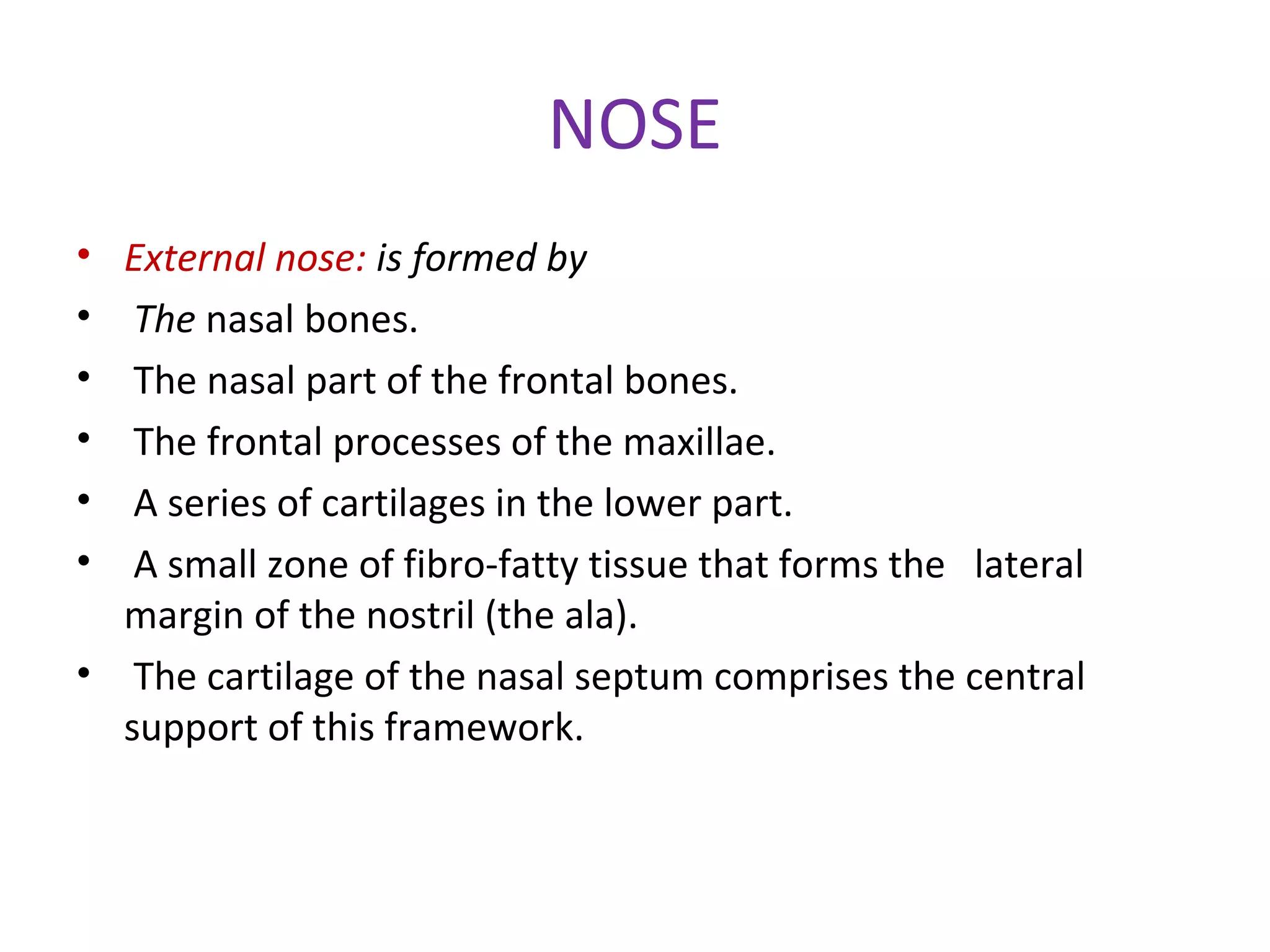 Anatomy of the respiratory tract | PPT
