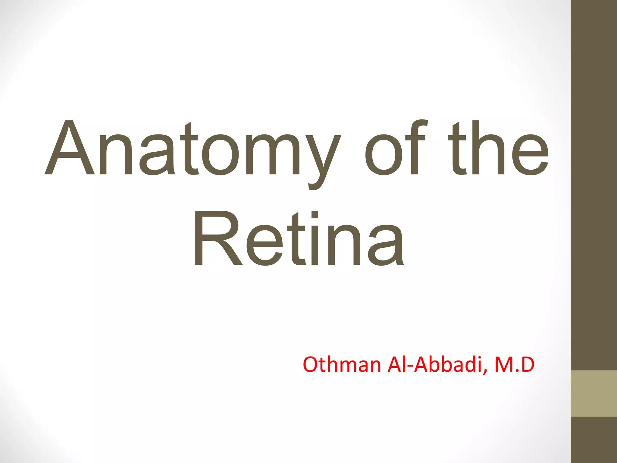Anatomy of the retina | PPT