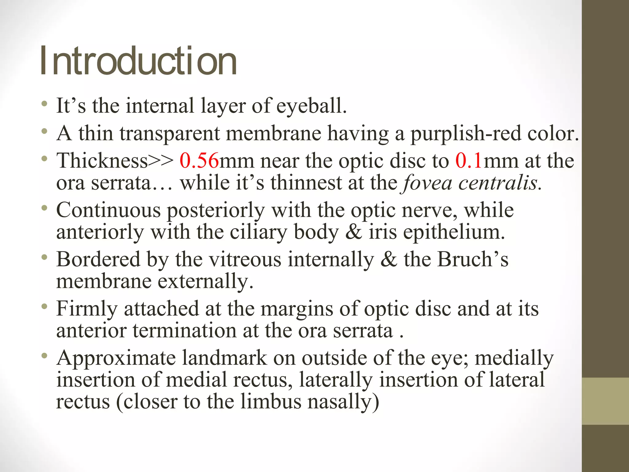 Anatomy of the retina | PPT