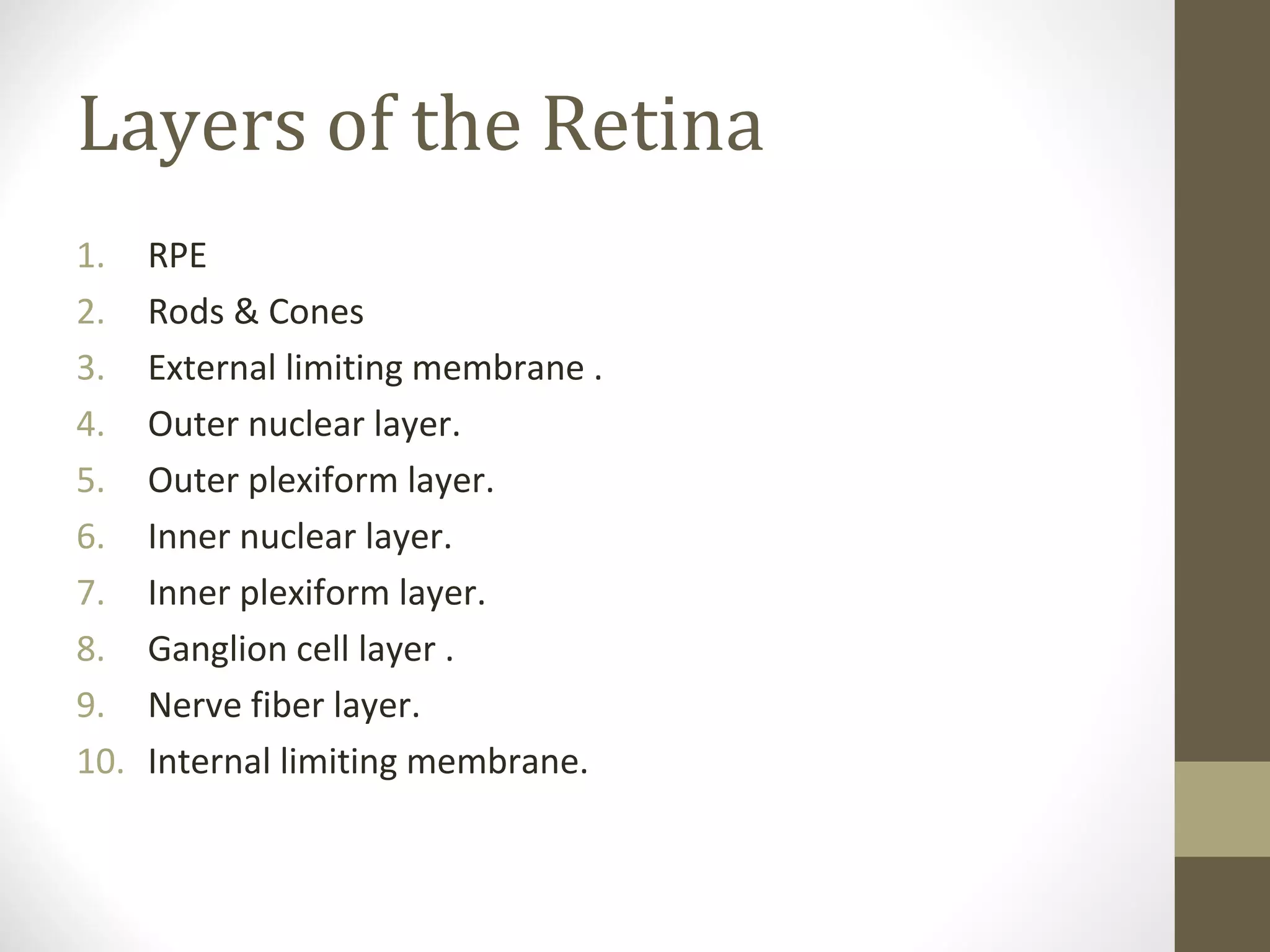 Anatomy of the retina | PPT