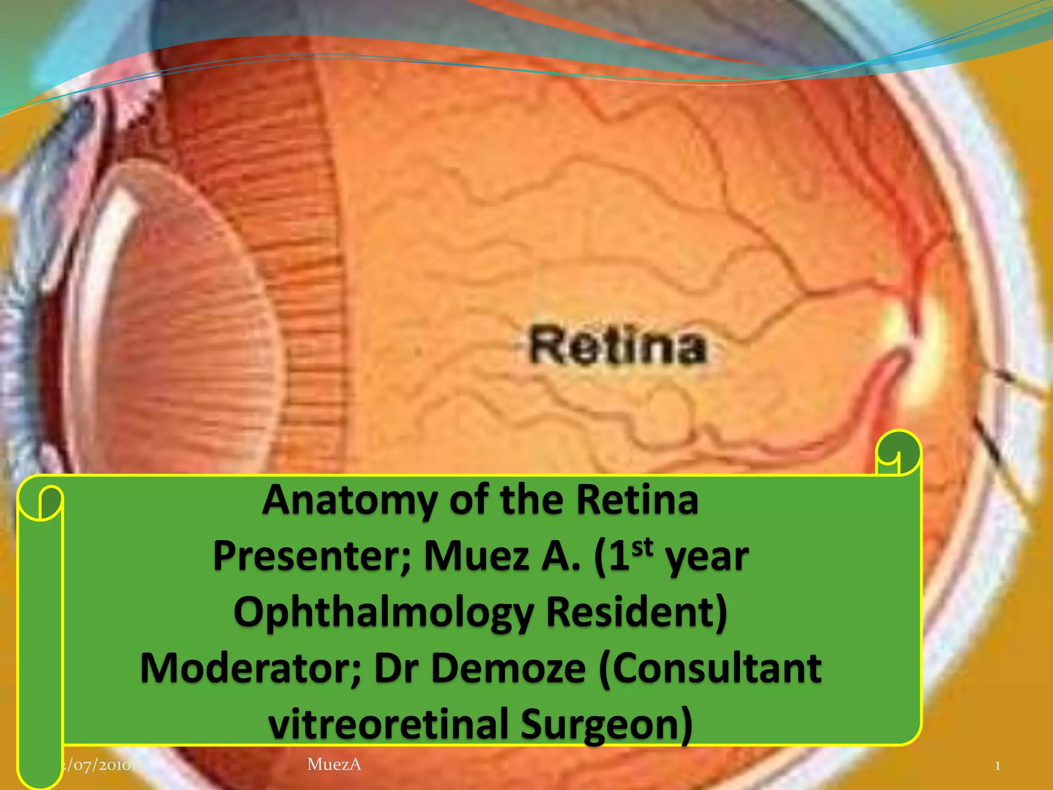 Anatomy of the Retina.pptx