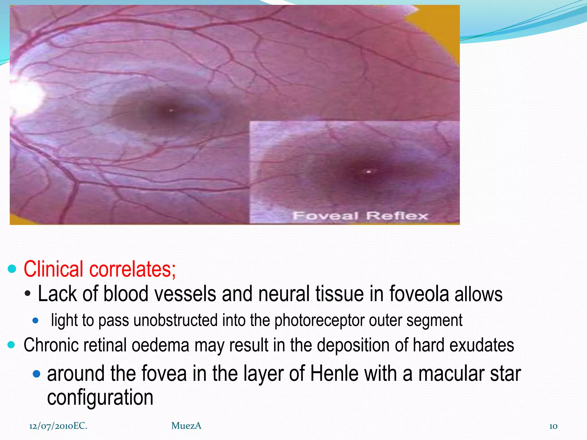 Anatomy of the Retina.pptx