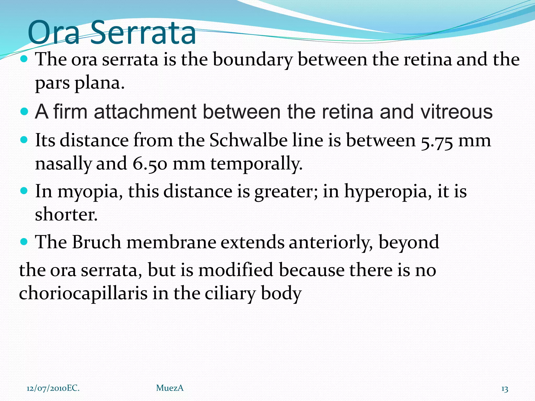 Anatomy of the Retina.pptx