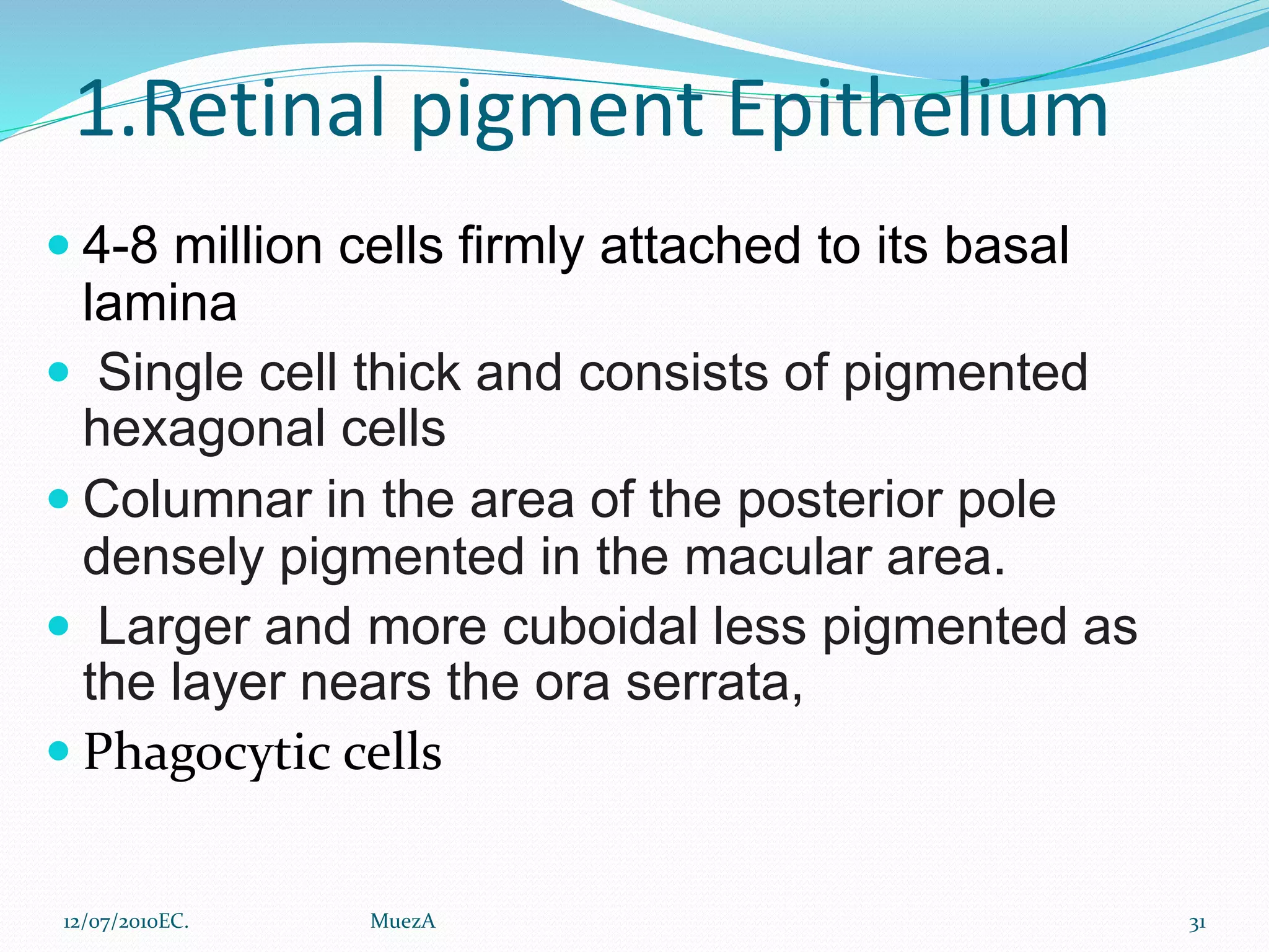 Anatomy of the Retina.pptx