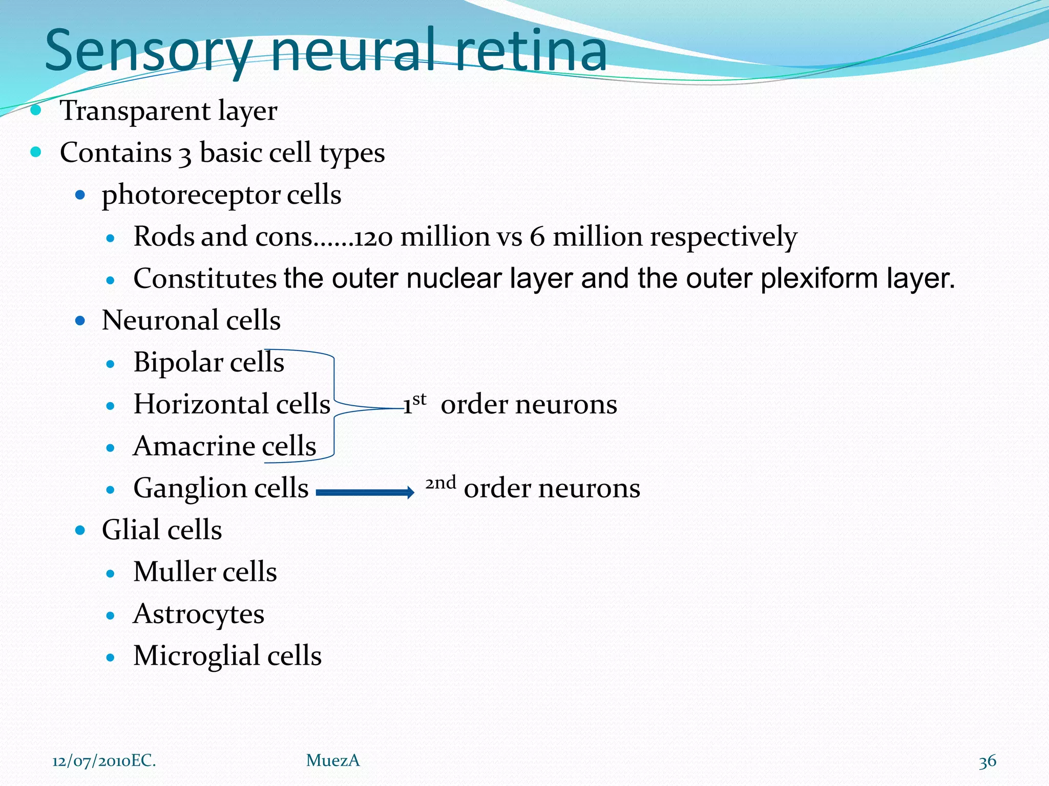 Anatomy of the Retina.pptx