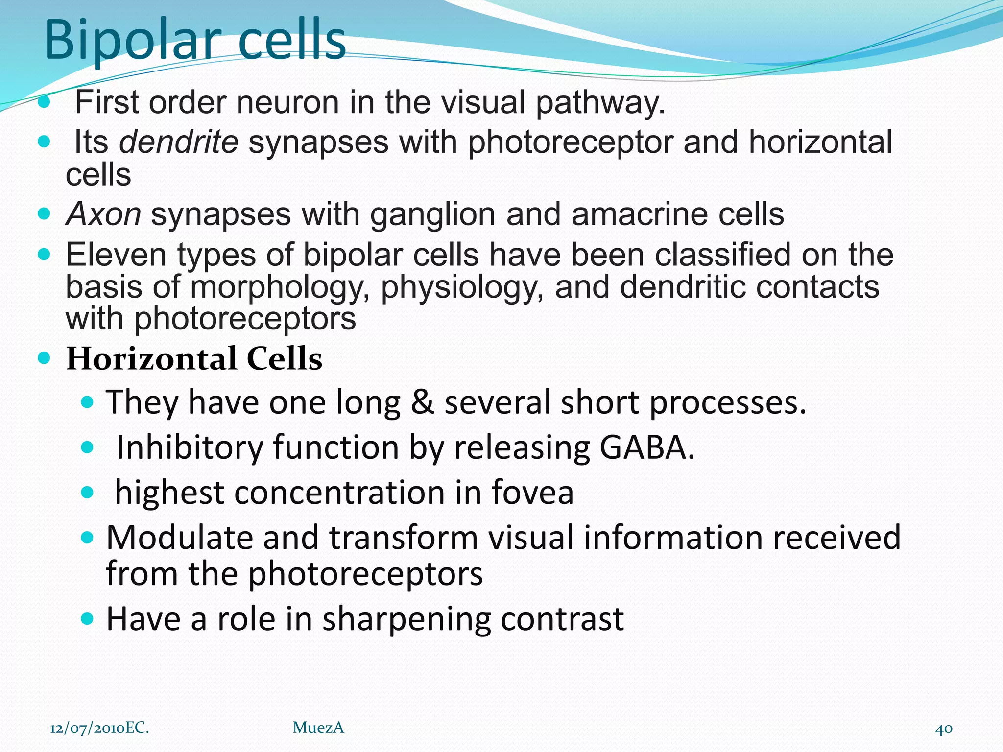 Anatomy of the Retina.pptx