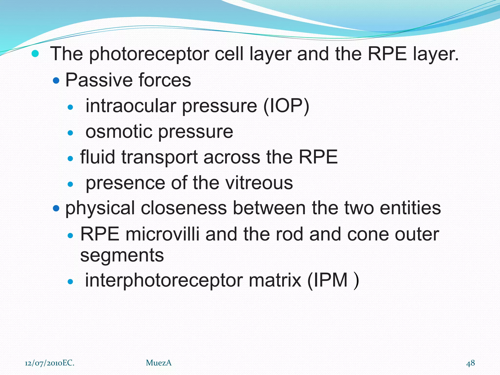 Anatomy of the Retina.pptx