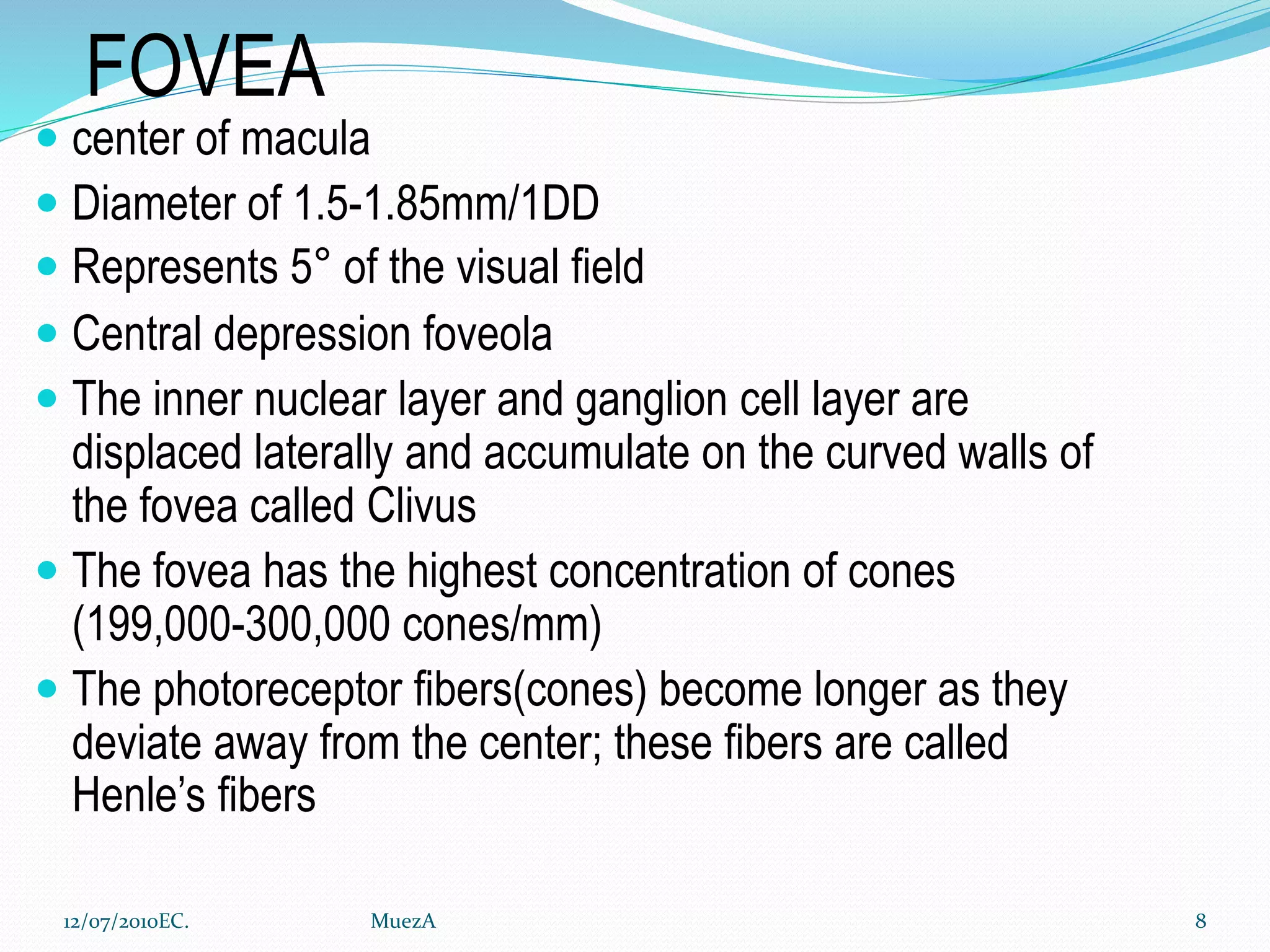 Anatomy of the Retina.pptx