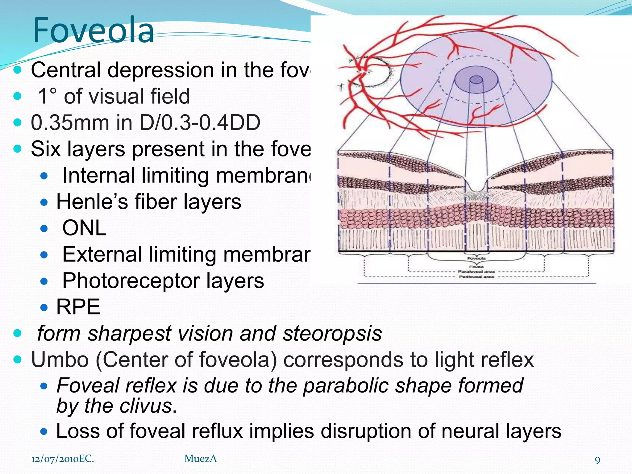 Anatomy of the Retina.pptx
