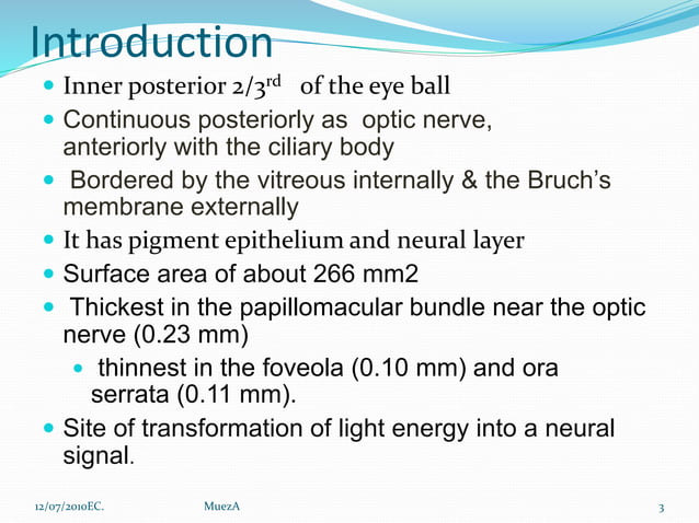 Anatomy of the Retina.pptx