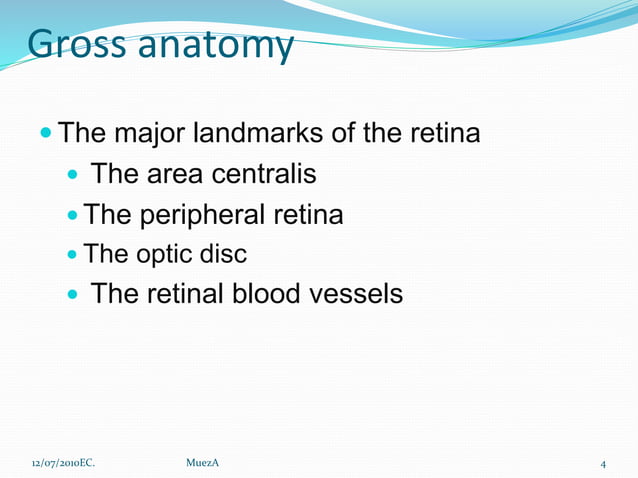 Anatomy of the Retina.pptx