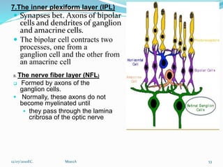 Anatomy of the Retina.pptx