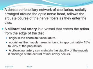 Anatomy of the Retina.pptx