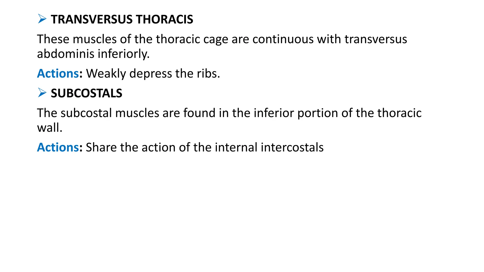 Anatomy of the Ribs.pptx