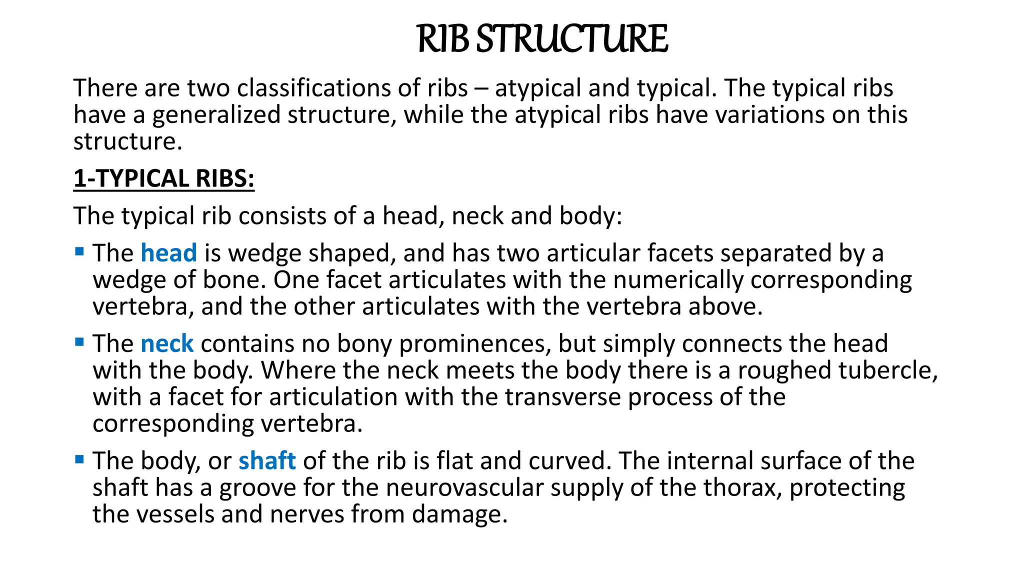 Anatomy of the Ribs.pptx