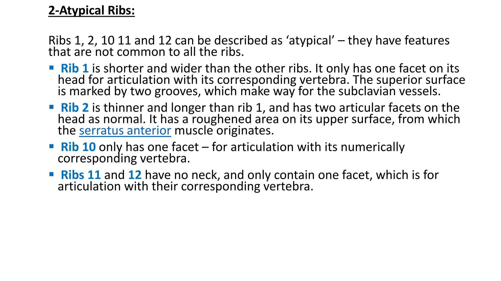 Anatomy of the Ribs.pptx