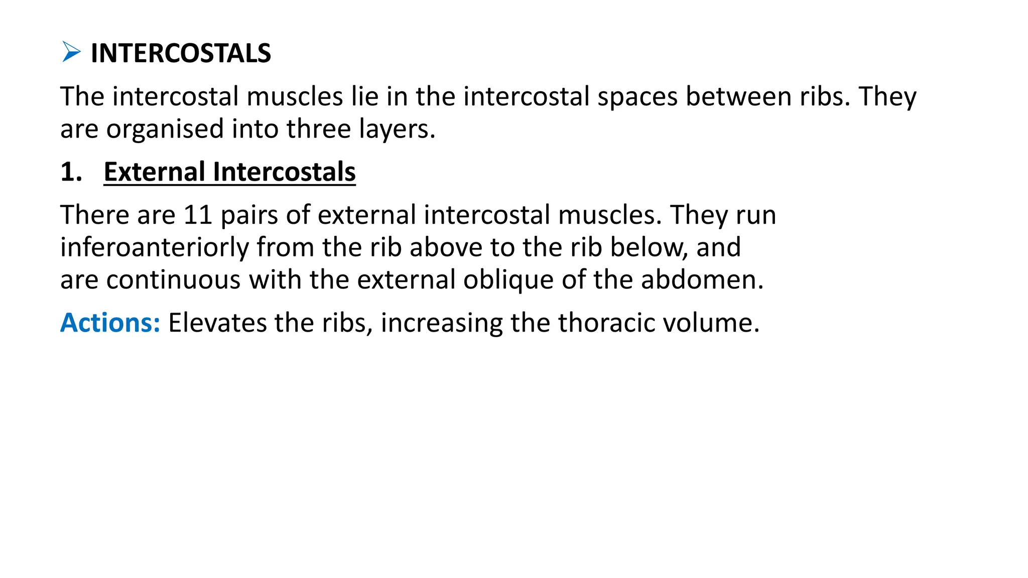 Anatomy of the Ribs.pptx