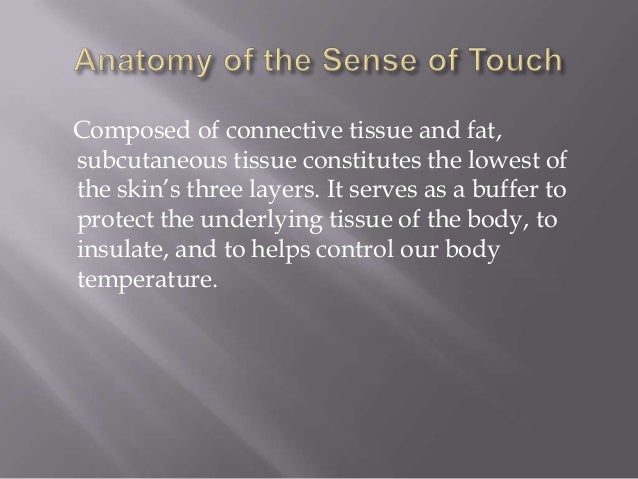 Anatomy of the sense of touch by one taste