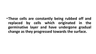 Anatomy of the skin | PPTX