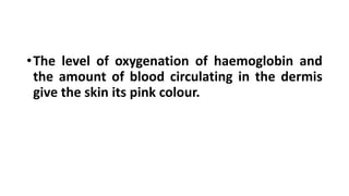 Anatomy of the skin | PPTX