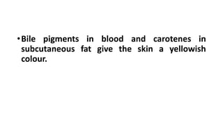 Anatomy of the skin | PPTX