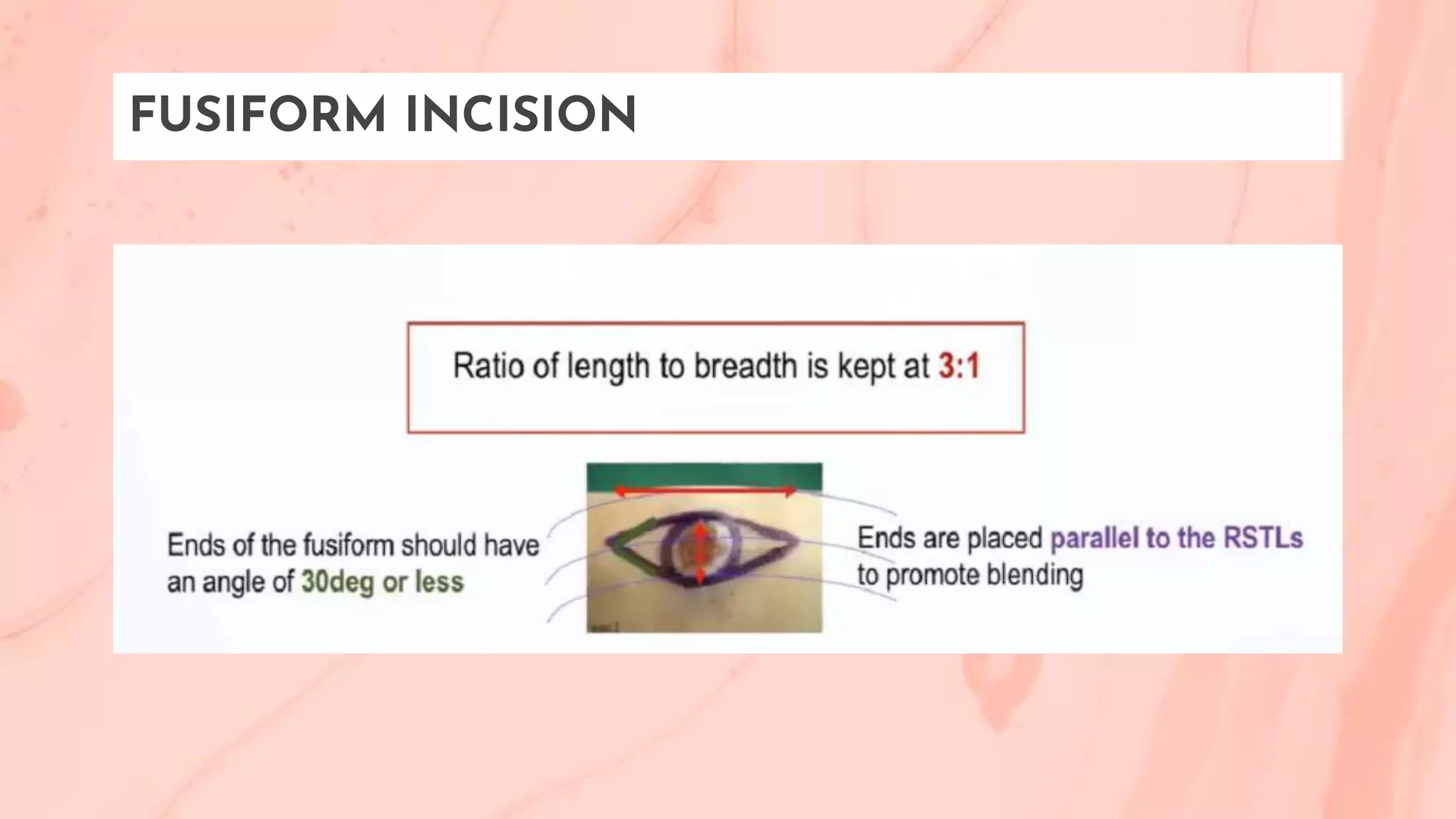 Anatomy of the Skin Basics of Cutting and Suturing.pptx