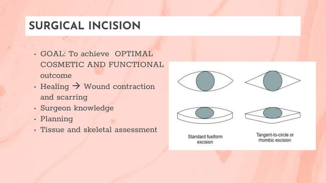 Anatomy of the Skin Basics of Cutting and Suturing.pptx