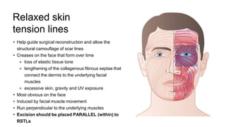 Anatomy of the Skin Basics of Cutting and Suturing.pptx