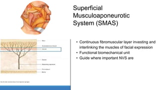 Anatomy of the Skin Basics of Cutting and Suturing.pptx