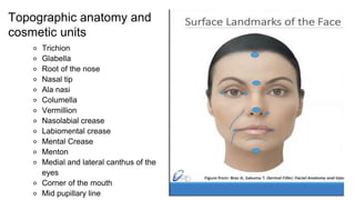 Anatomy of the Skin Basics of Cutting and Suturing.pptx