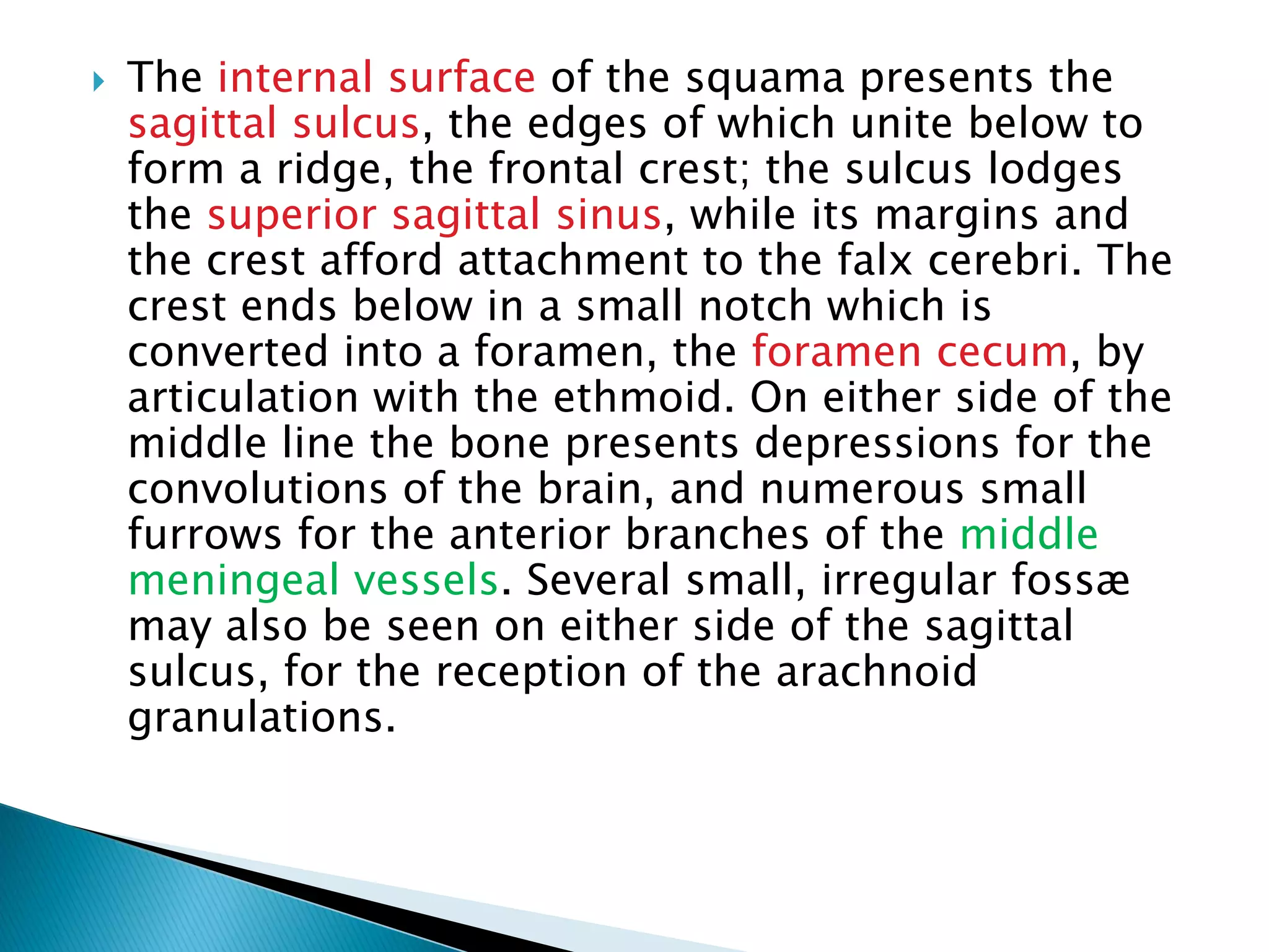 Osteology of the skull. | PDF