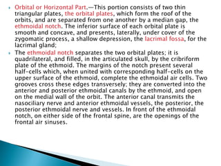 Osteology of the skull. | PDF