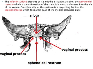 Osteology of the skull. | PDF