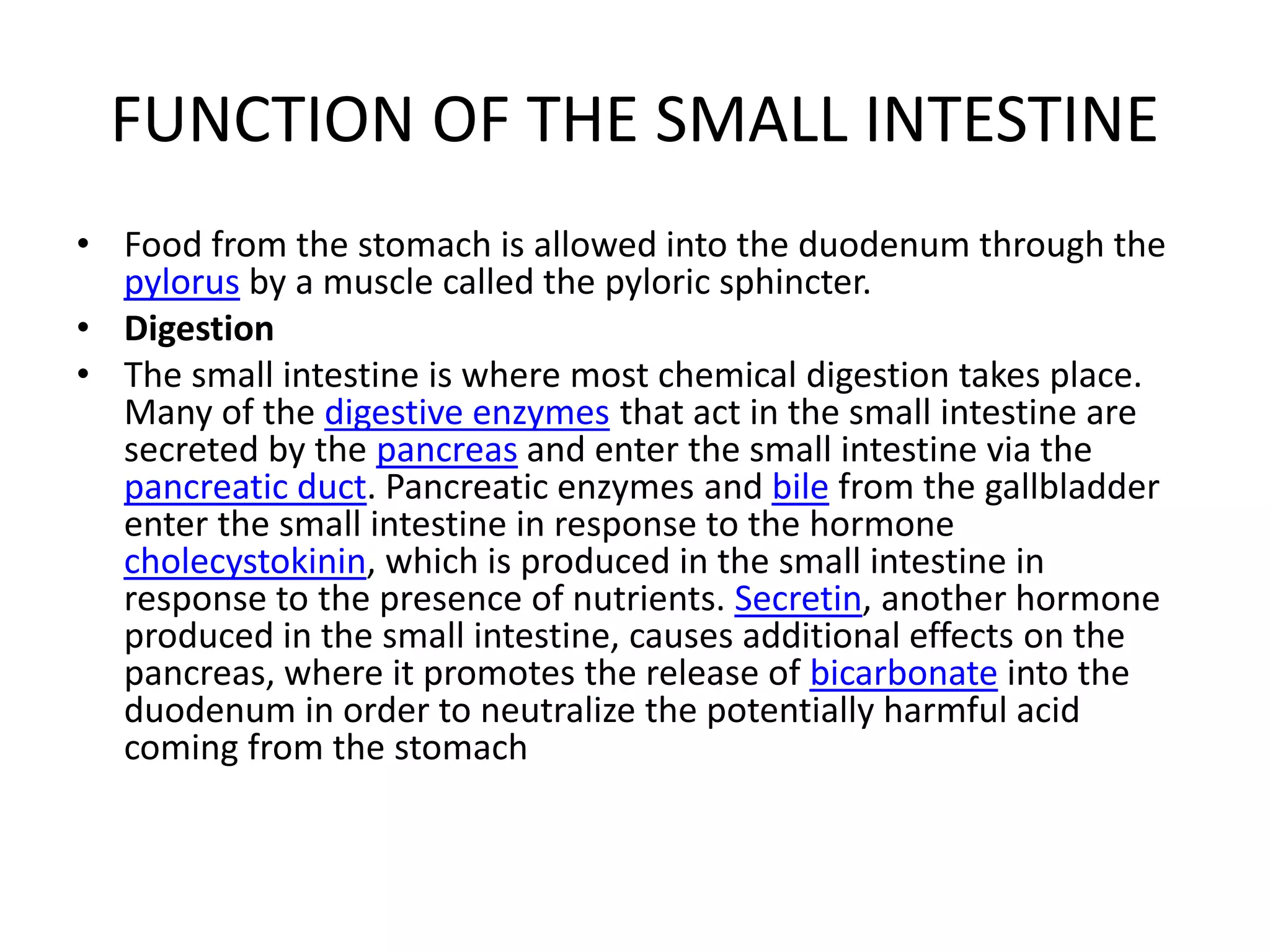 Anatomy of the small intestine | PPTX