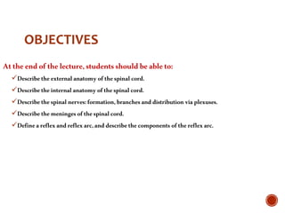 Human Anatomy of the Spinal Cord presentation.ppt